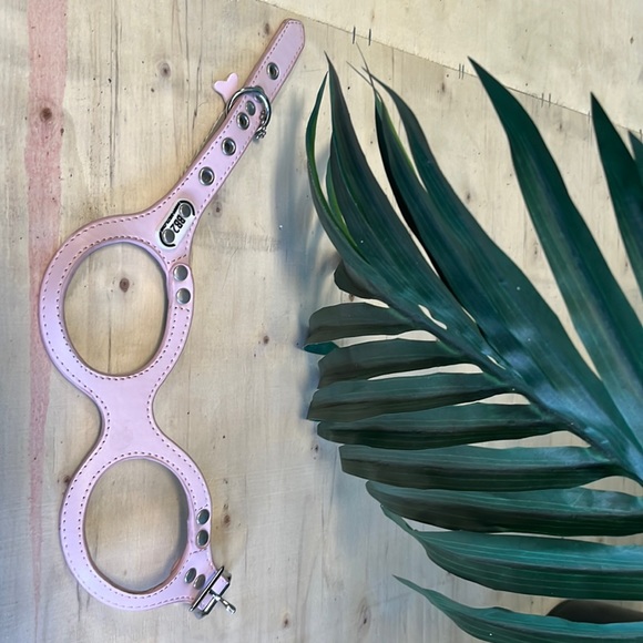 Buddy Belt | Dog | Buddy Belt Dog Harness | Poshmark